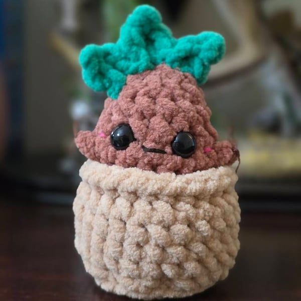 No Sew Cactus Pop-up Crochet Pattern Amigurumi Plant Pattern - Etsy