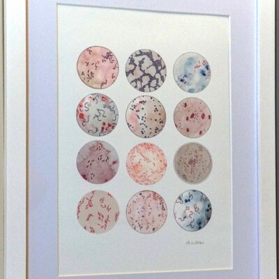 Microbe Collection, Bacteria, Bacteria Art, Science, Science Art ...