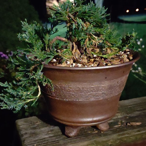 Small Unglazed Round Bonsai Pot 5 3/4 - Etsy