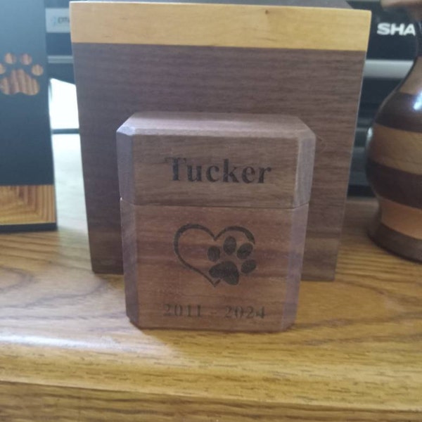 Beton Groß Mario Ziegel Sukkulenten Pflanzer Hochzeit Gastgeschenke ...