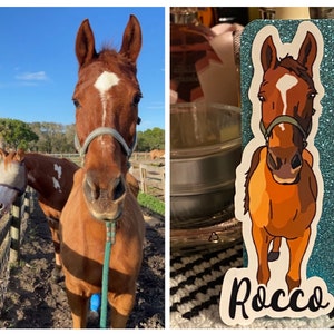 Custom Horse Sticker Waterproof Vsco Laptop Water Bottle Sticker Photo ...