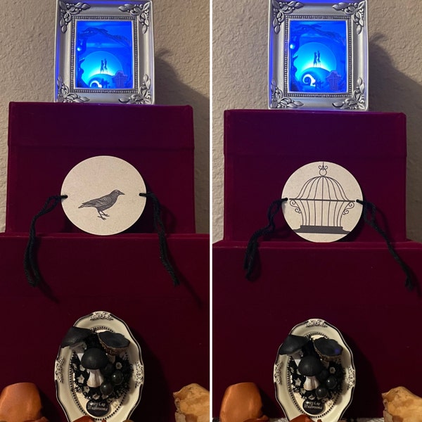 Crow & Cage Thaumatrope - Optical Illusion Spinner - Etsy