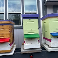 Beehive Stand Langstroth Beehive Stand Heavy Duty Beehive - Etsy