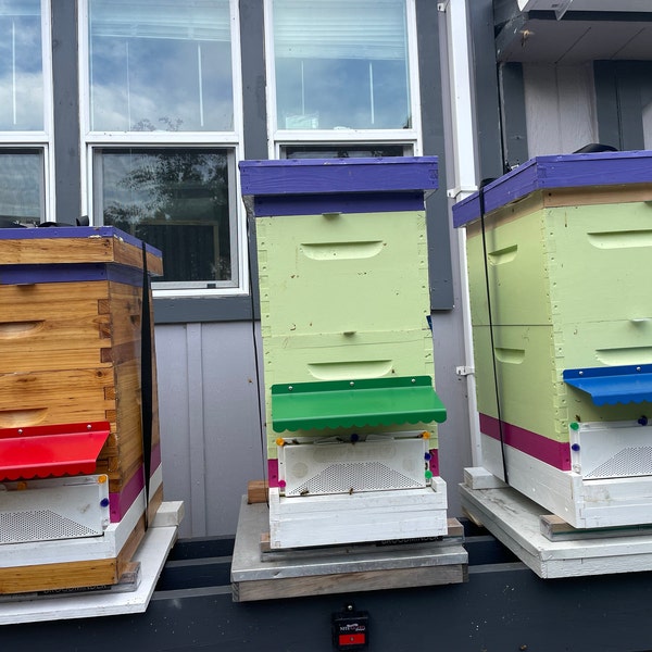 Beehive Rain and Snow Visor | Awning for Beehive | Snow and Rain ...