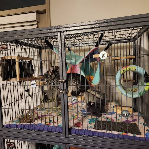 Crazy Critter 11 Pc Kiln Dried Pine Chinchilla//rat//degu//squirrel ...