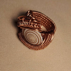 Cebu Beauty Snail Shells 1/23/4jewelry Seashell Supplies 20 Shells - Etsy