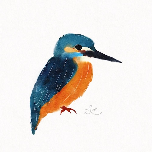 Rough & Dreamy Watercolor Kit for Procreate 2026 - Etsy