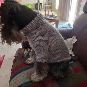 Dog Harness / Dog Collar / Cat Harness / Knitted Harness / Choke Free ...