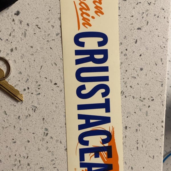 String Cheese Dreams Bumper Sticker - Etsy