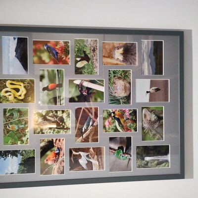 Multi Aperture Photo Frame. Holds Six 6x4 Photos. 30x60cm. Portrait or ...