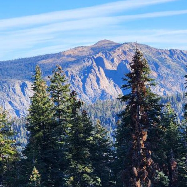 Ham Radio Call Sign Badge, Amateur Radio Badge, Amateur Radio Call Sign ...