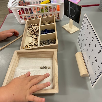 Animal Classification Sorting Set, Montessori Object Classification ...