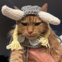 Brunhilde, Vikings, Valkyries, Wagner Opera, Hats for Cats, Pet Hats ...
