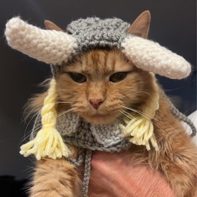 Brunhilde, Vikings, Valkyries, Wagner Opera, Hats for Cats, Pet Hats ...