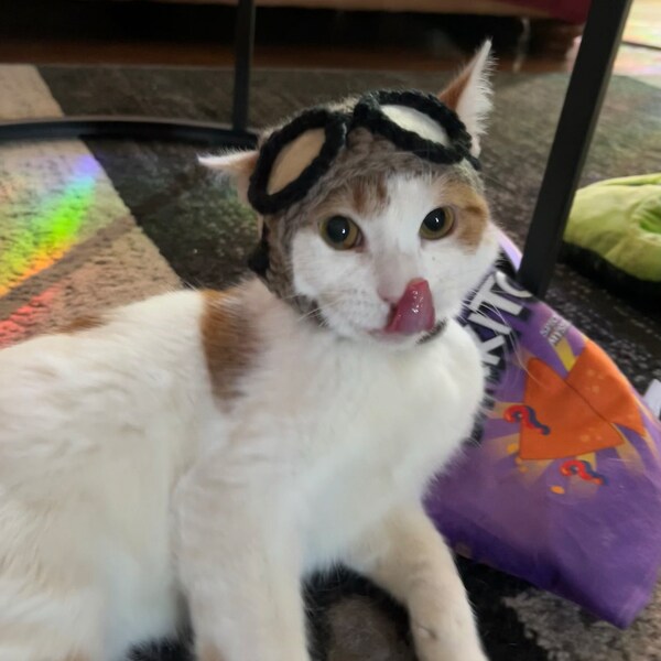 Aviator Hat, Hat for Pets, Hats for Cats, Halloween, Pet Costumes, Cat ...