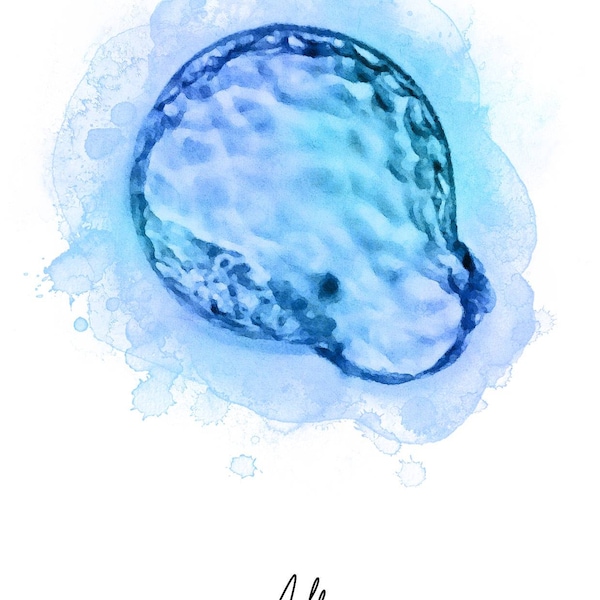 Custom IVF Art Embryo Watercolor Personalized Pregnancy Gift Nursery ...