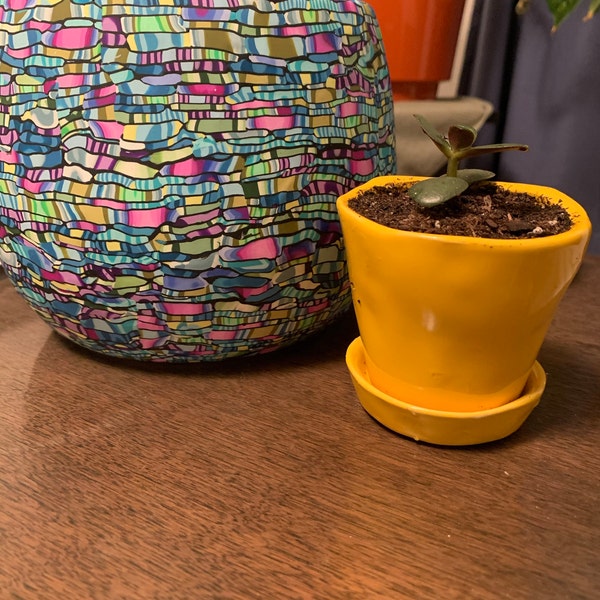 Small Yellow Ceramic Planter With Saucer, Small Planter, Small Plant ...