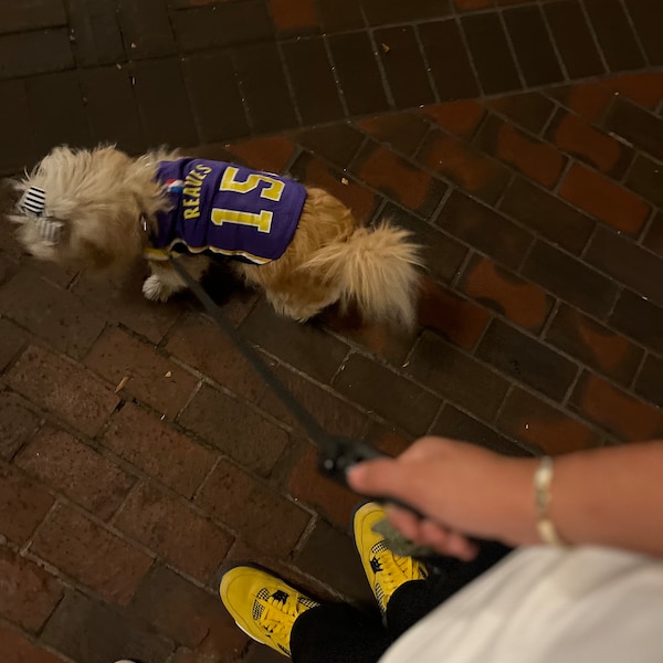 Air Bud K9 Dog Basketball Jersey Halloween Costumes Air Buddy ...