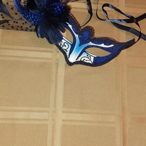 Black Bird Curved Beak Long Nose Skull Face Mask Top Feather Halloween ...