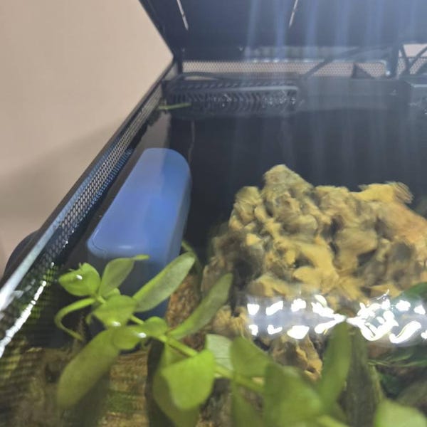 Foam Block Overflow Covers and Fish Guard for Aquarium Intakes - Etsy