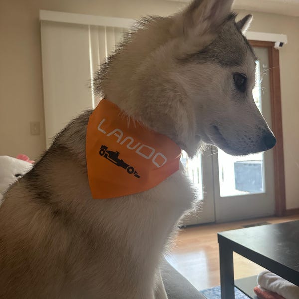 George Russell Formula 1 Teddy Bear Perfect Gift for Mercedes AMG ...