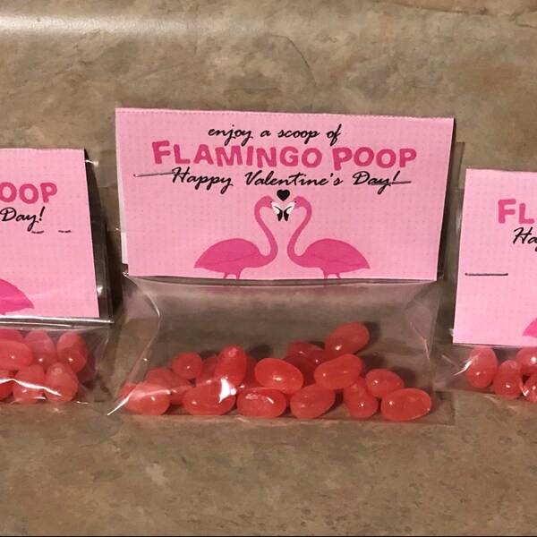 Flamingo Poop Valentines Bag Topper: Printable Party Favor (PDF Instant ...