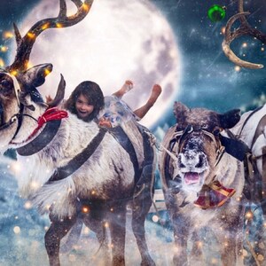 Christmas Digital Smiling Reindeer Flying Reindeer Games - Etsy