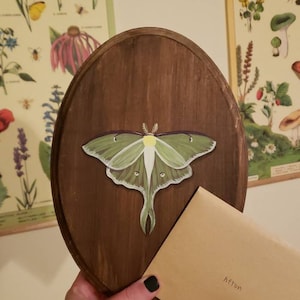 Hand-painted Iridescent Ball Python Snake Wall Decor Boho - Etsy