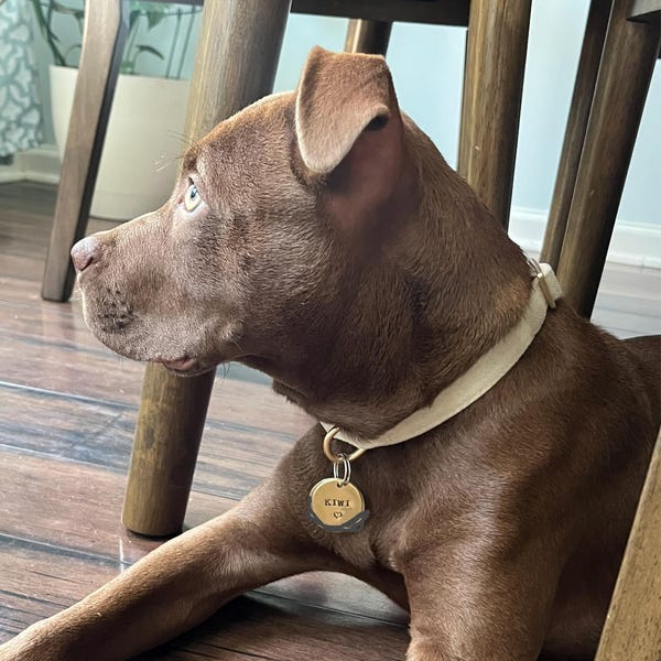 Stacked Dog Id / Dog Name Tag/ Puppy Tag / Custom Pet Tags / Hand ...