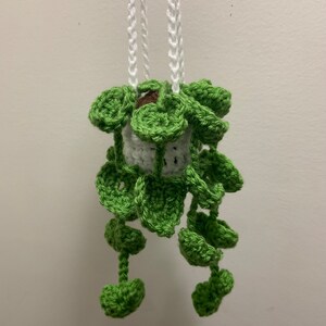 Crochet Car Plant Pothos PATTERN ONLY Pamelambie Tiktok - Etsy