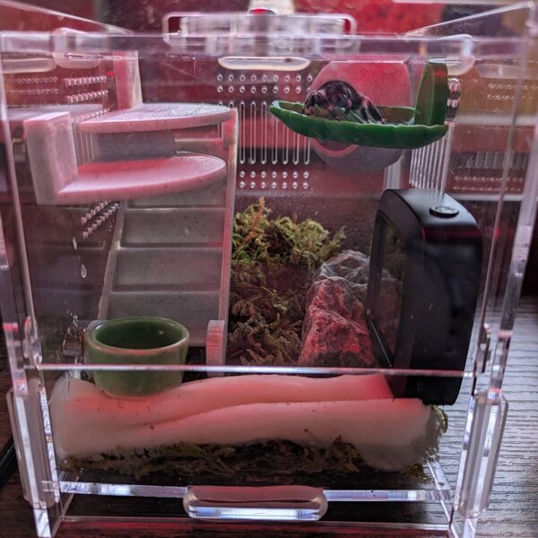 Magnetic Jumping Spider Mantis Staircase - Etsy