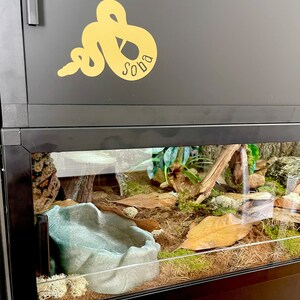 Customizable Name Ball Python Snake Vinyl Decal READ DESCRIPTION - Etsy