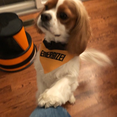 Custom Sci Fi Phone Case, Sci-fi Uniform, Captain, Star, Boldly Go ...