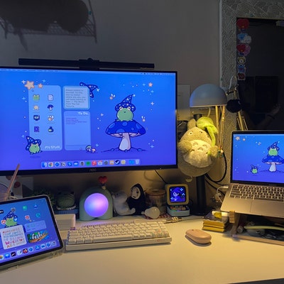 Wizard Frog Computer Desktop Theme Background Wallpaper Organizer Set ...