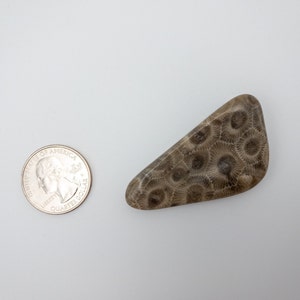 Detroit Fordite Raw Blanks for Artisans and Jewelry Makers | Etsy