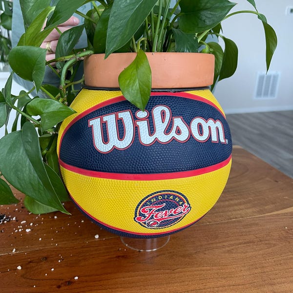 Mini Pink Basketball Planter | Hypebeast Decor | Sports Gift | Nike ...