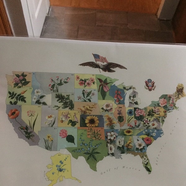 Flower Map Print of the United States, "our National Bouquet ...