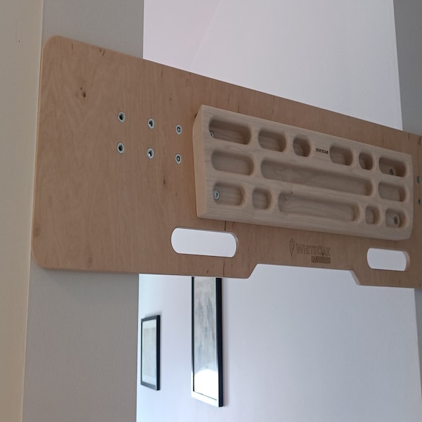 Strength Measurement Platform for Dynamometers: Strenght Assesment Base ...
