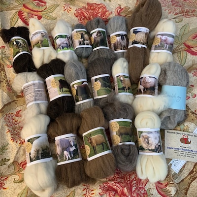 20 Sheep Breed Study Samples Combed Top Wool Fibre - Etsy