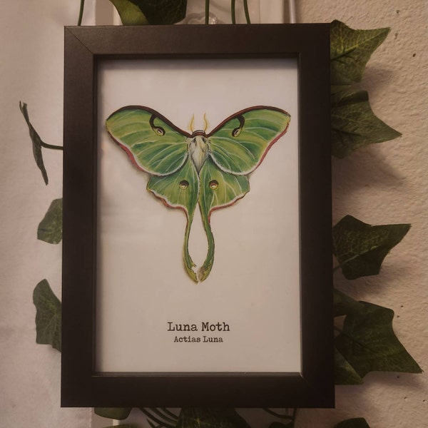 Edvard Munch's the Scream Hawkmoth Painting Print 6x8 | Framed ...