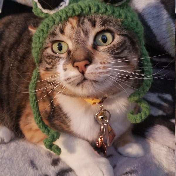 Frog Hat for Cats, Funny Feline Frog Accessory / Costume, Frog Hat With ...