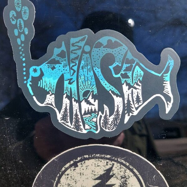 USVI Virgin Islands Caribbean Flag St Thomas Saint John St Croix ...