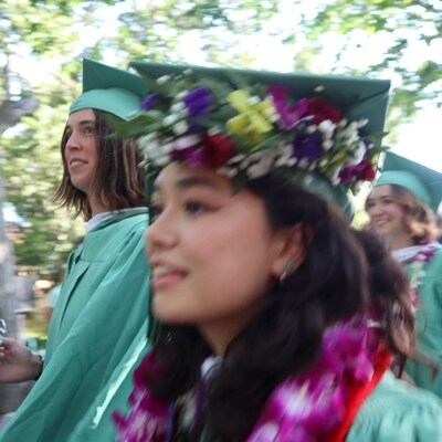 Maile Ti Leaf Lei Hawaiian Lei Graduation Lei - Etsy