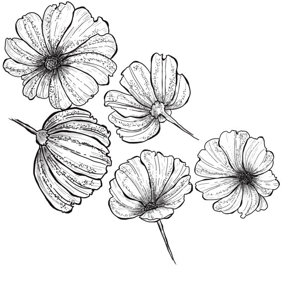 Procreate - Fine Liner Brush Set | Micron Pen Fineliners, Stipple ...