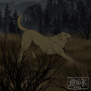 Procreate 3D Object Leg Models Tattoo Brush Male and Female - Etsy