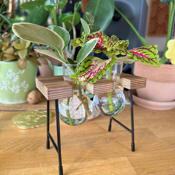 Heart Shaped Plant Propagation Station - Hydroponic Station for Growing ...