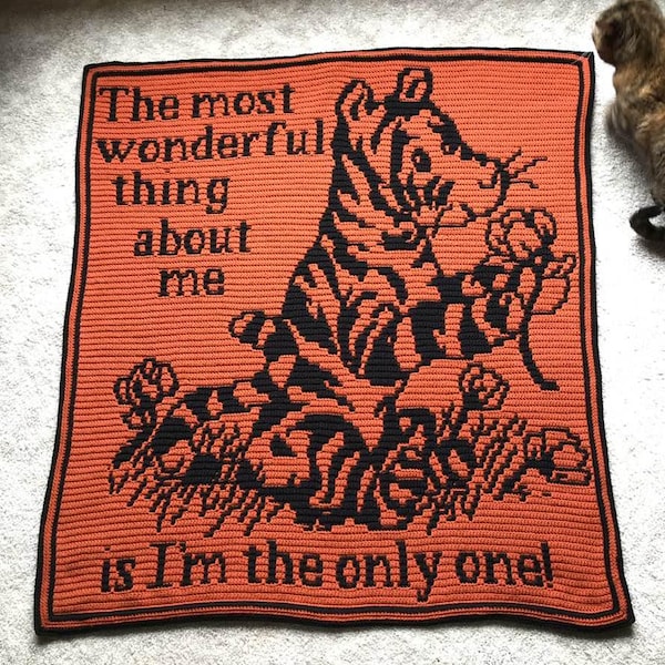 Semicolon Cat Mosaic Crochet Blanket PATTERN ONLY - Etsy