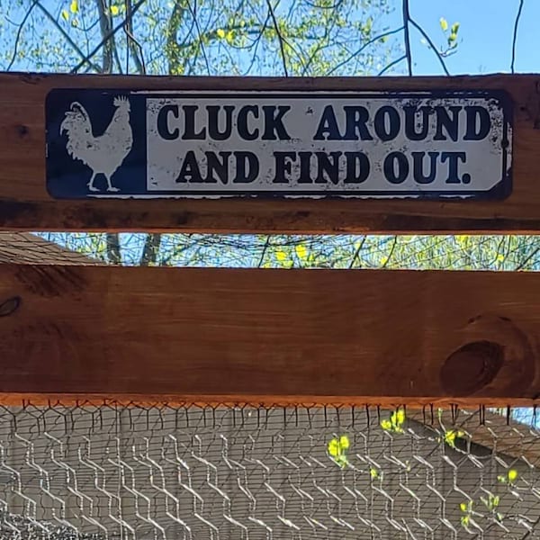 Cluck Around and Find Out Funny Chicken Coop Sign - Outdoor Safe Hen ...