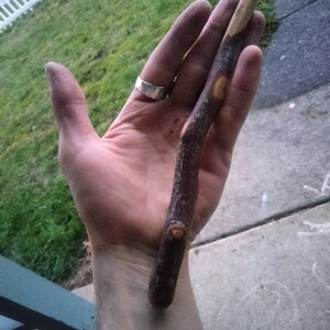 Irish Willow Wand tree of the Water - Etsy