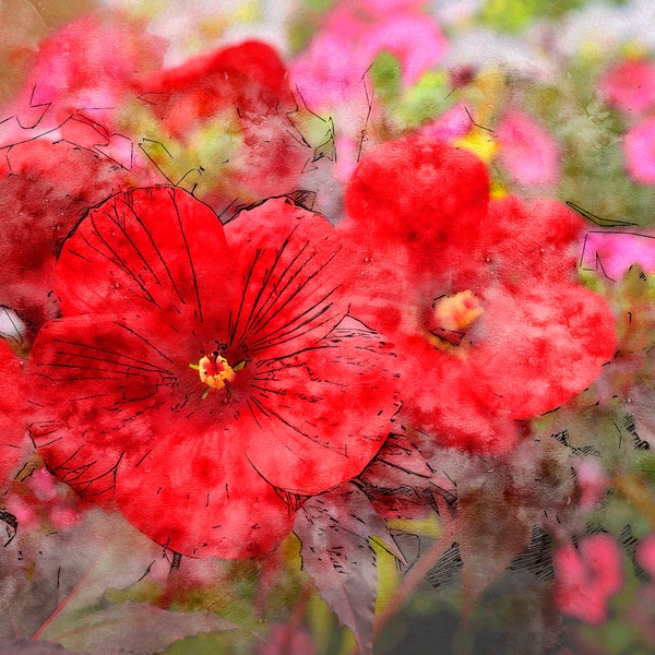 Flying Tulle Fabric Brushes for Photo Editing, Realistic Tulle Veil ...